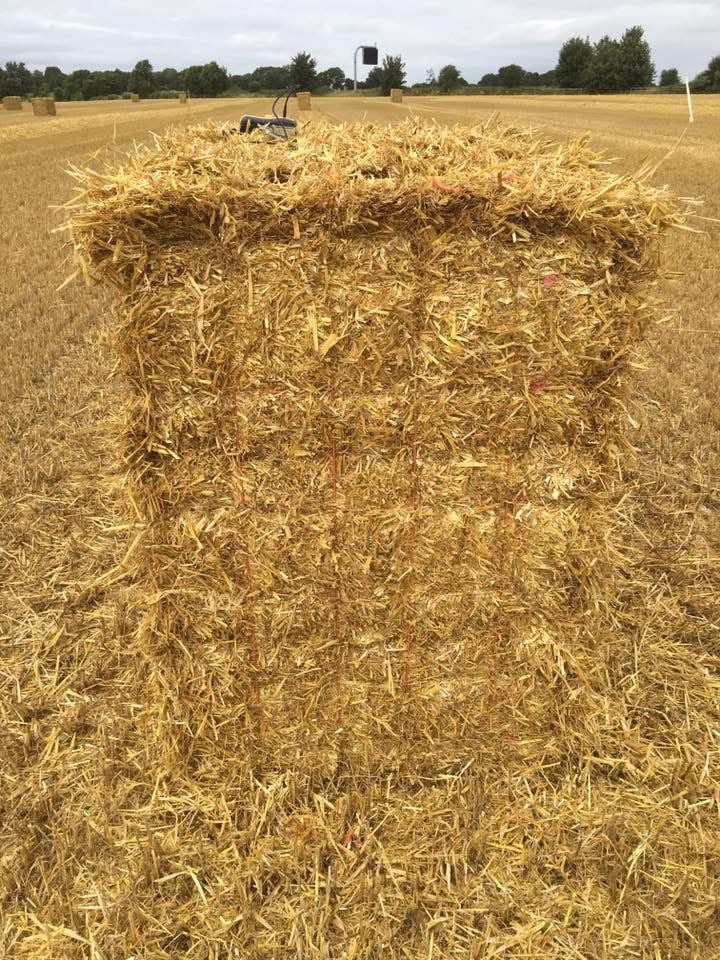 Small Bale BARLEY Straw - OJM Farm and Equine LTD